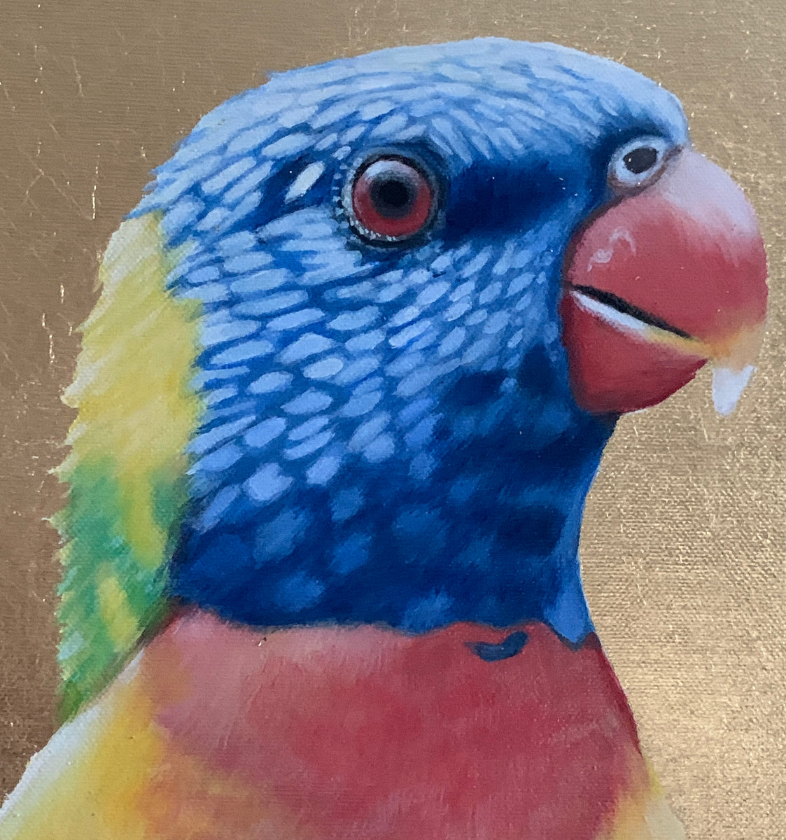 Pappagallo Parrot – Margaret Petchell Artist