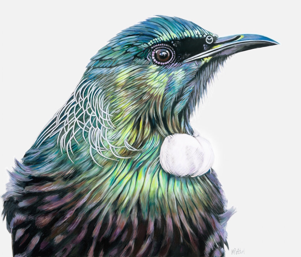 New Zealand Tui Art Print colourful , stylised, patterned feathers ...